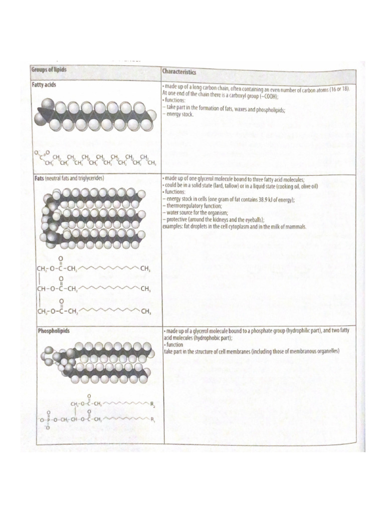 Groups of Lipids | PDF