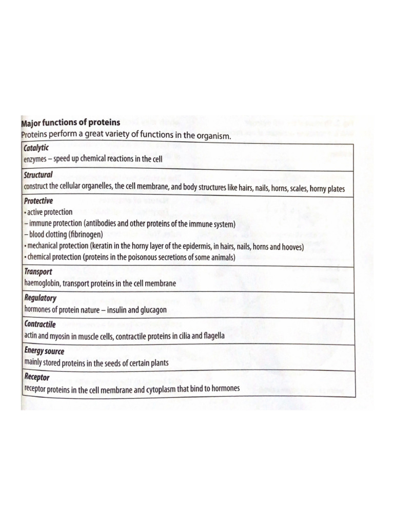 Major Functions of Proteins | PDF