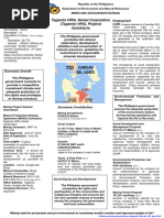 FINAL Taganito HPAL Nickel Corporation | PDF | Nickel | Mining