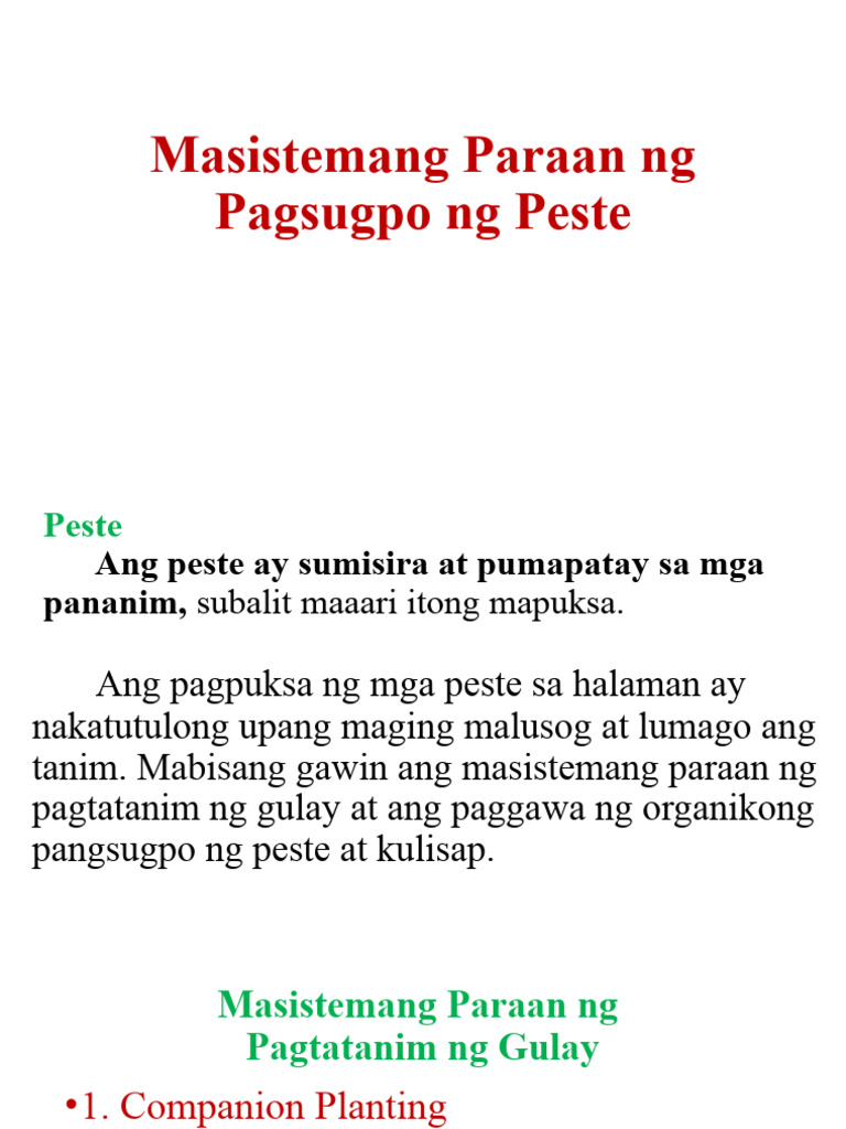 Masistemang Paraan NG Pagsugpo NG Peste | PDF