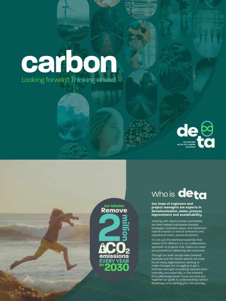Carbon Roadmap Guide for Businesses | PDF | Carbon Footprint | Climate ...