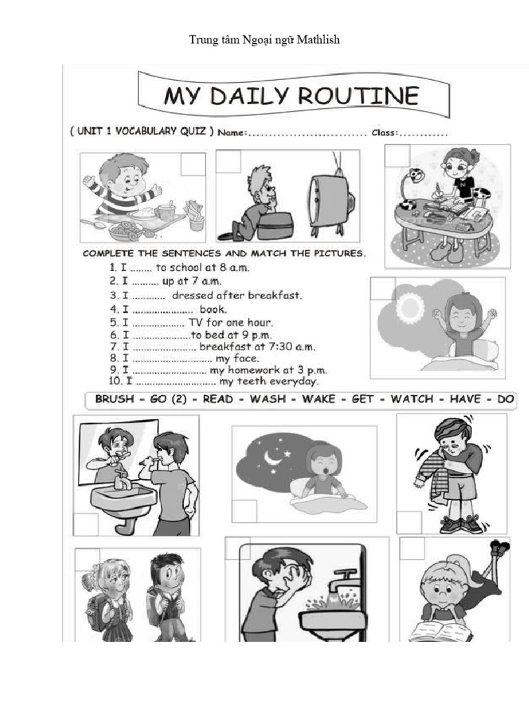 Daily Routine | PDF