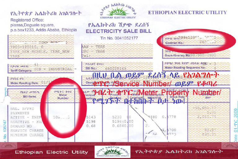 Ethiopia Bill | PDF