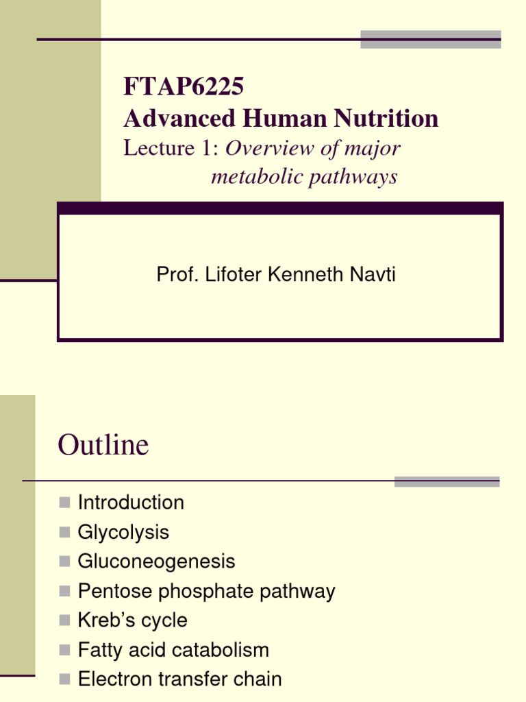 Lecture 1_Overview of Major Metabolic Pathways | Download Free PDF ...