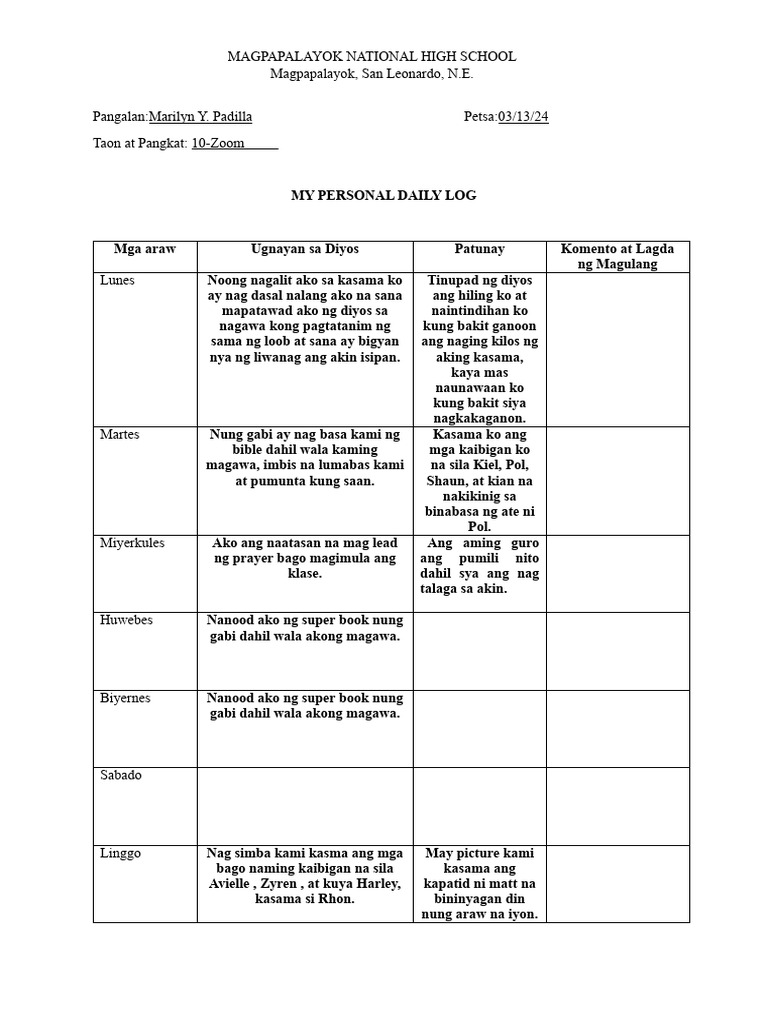 My Personal Daily Log | PDF