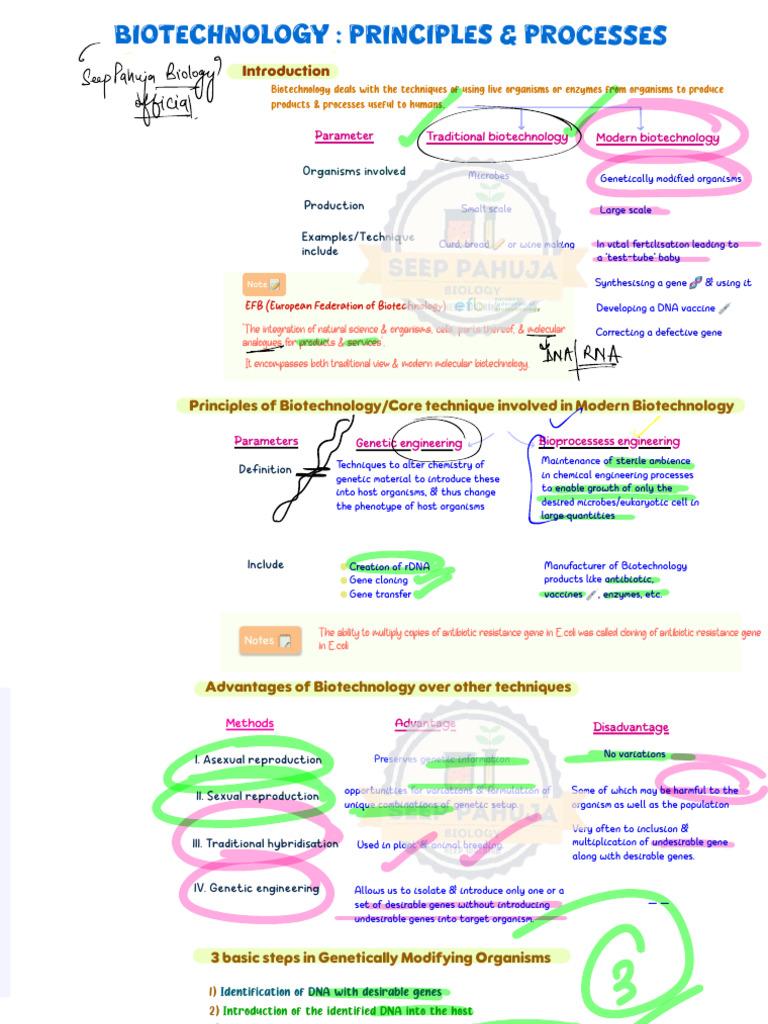Biotechnology Principles & Processes[1] (2) | PDF | Restriction Enzyme | Plasmid