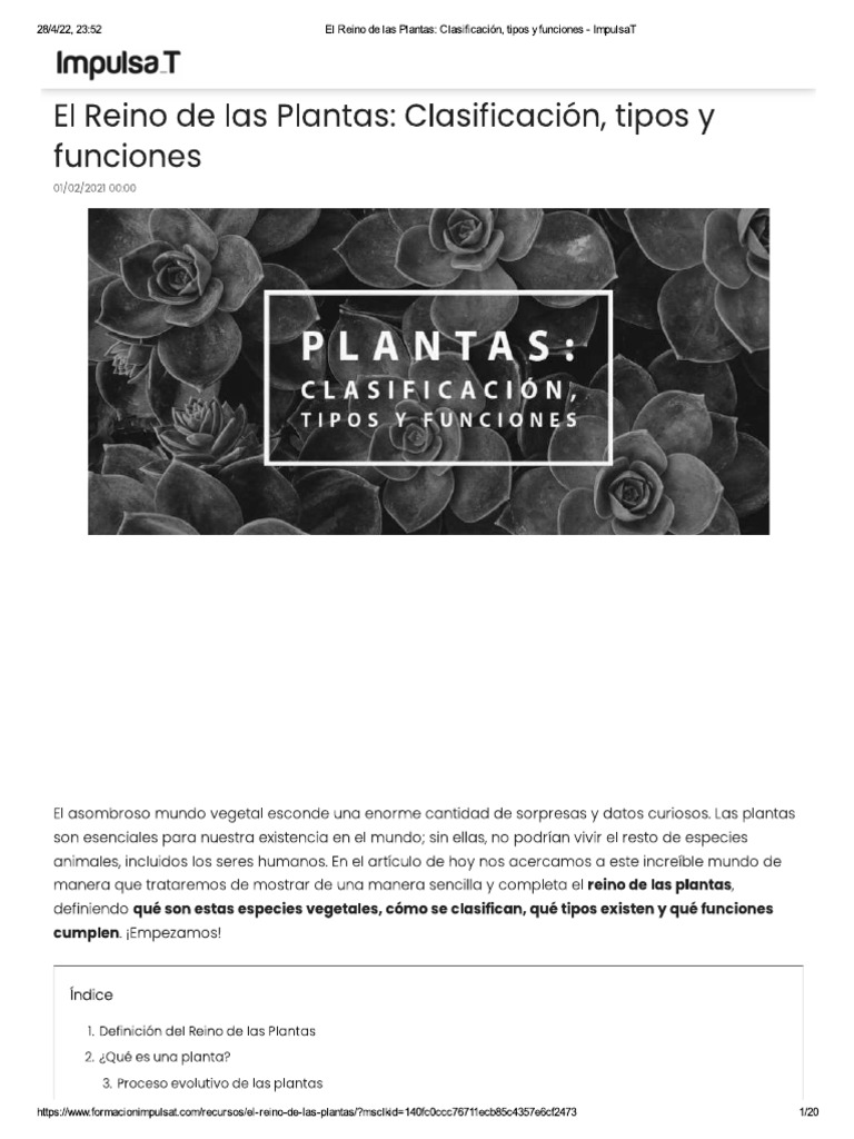 El Reino de Las Plantas - Clasificación, Tipos y Funciones | PDF