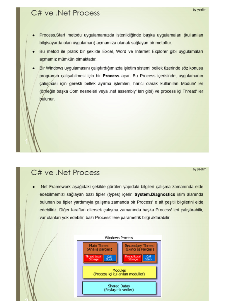 18 ProcessVePointer Unsafe Kullanimi | PDF