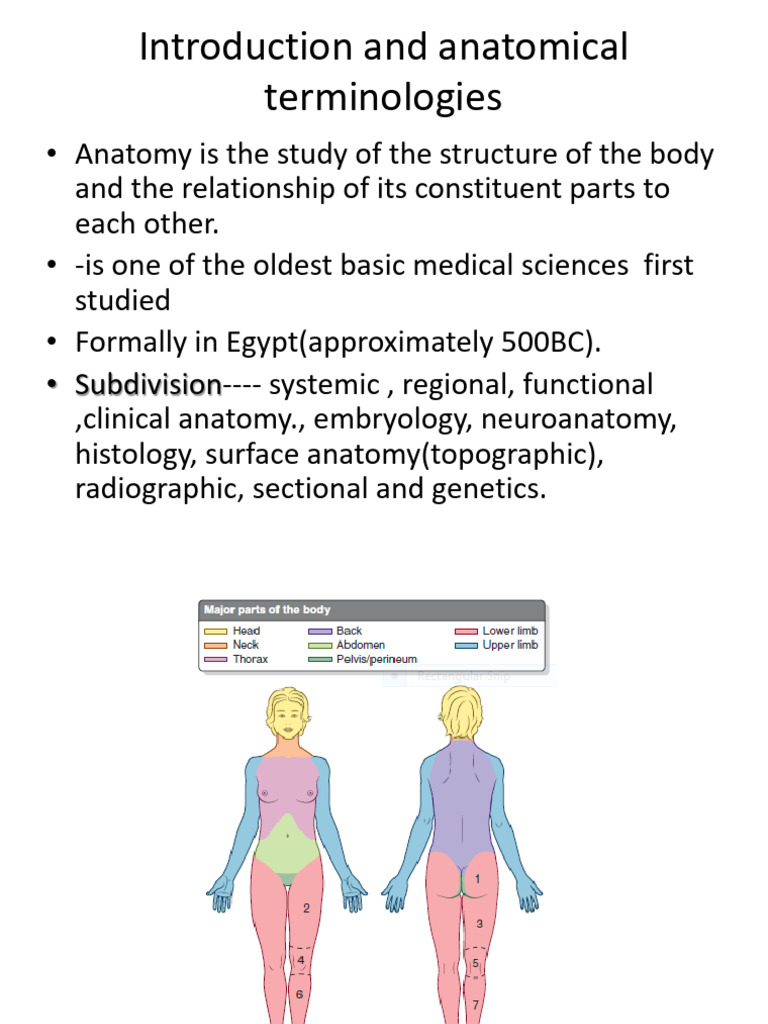 1 - Introduction and anatomical terminologies | Download Free PDF ...