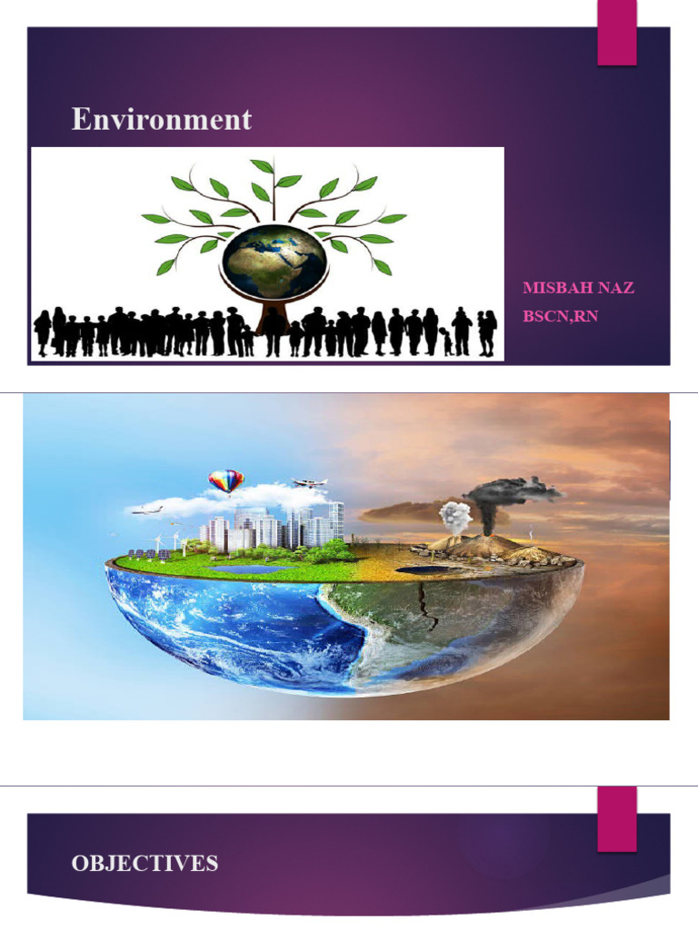 Environment (2) | PDF | Natural Environment | Climate Change