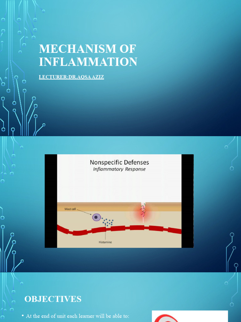 Inflammation 22 | PDF | Inflammation | Endothelium