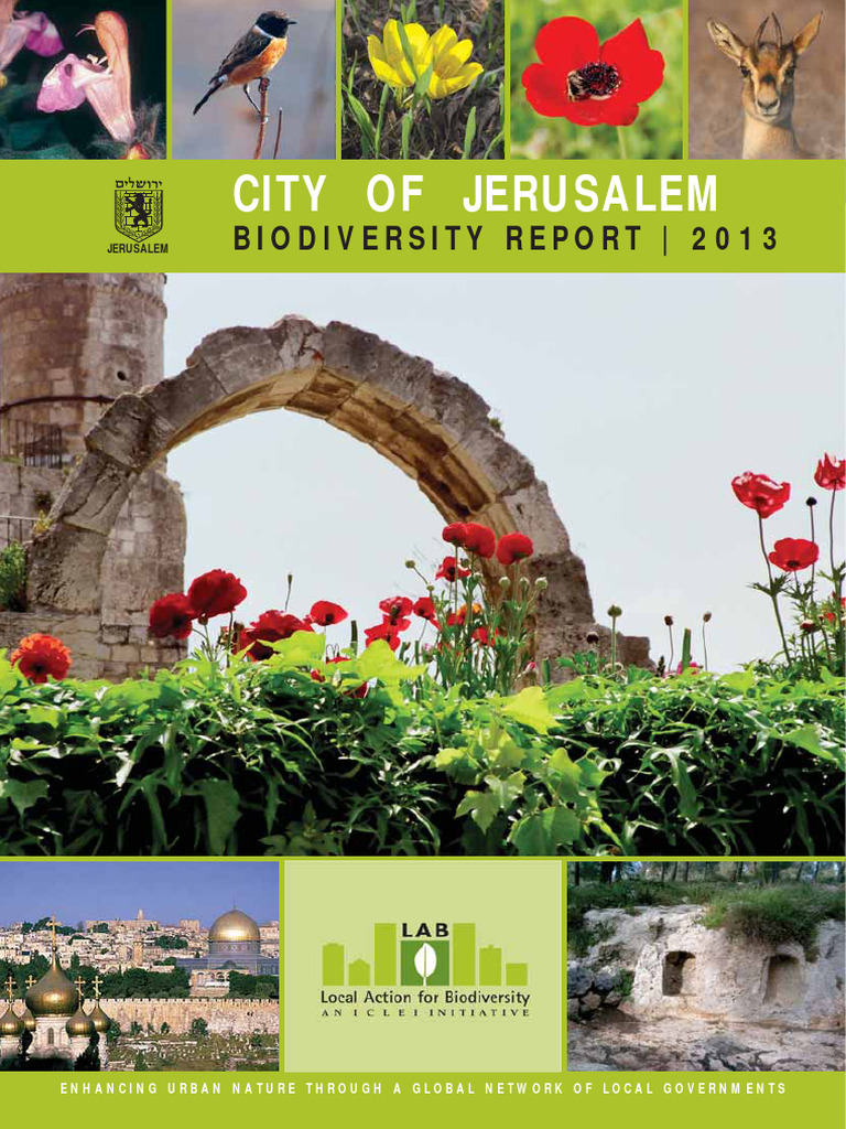Jerusalem Biodiversity Report 2013 | PDF | Biodiversity | Conservation ...