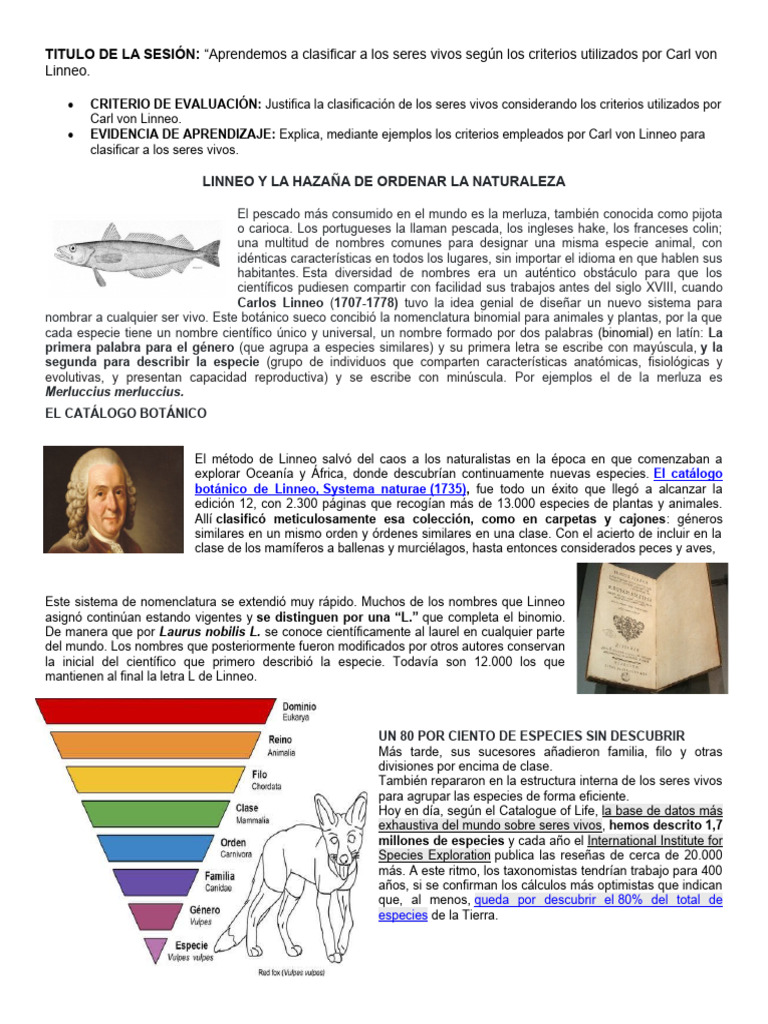 Clasificación de seres vivos según Linneo | PDF | Especies | Taxonomía ...