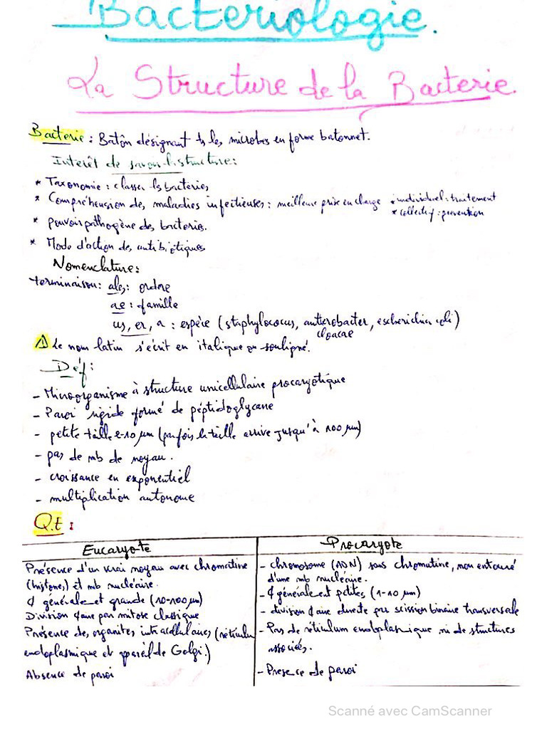 Reì Sumeì Bacterio | PDF