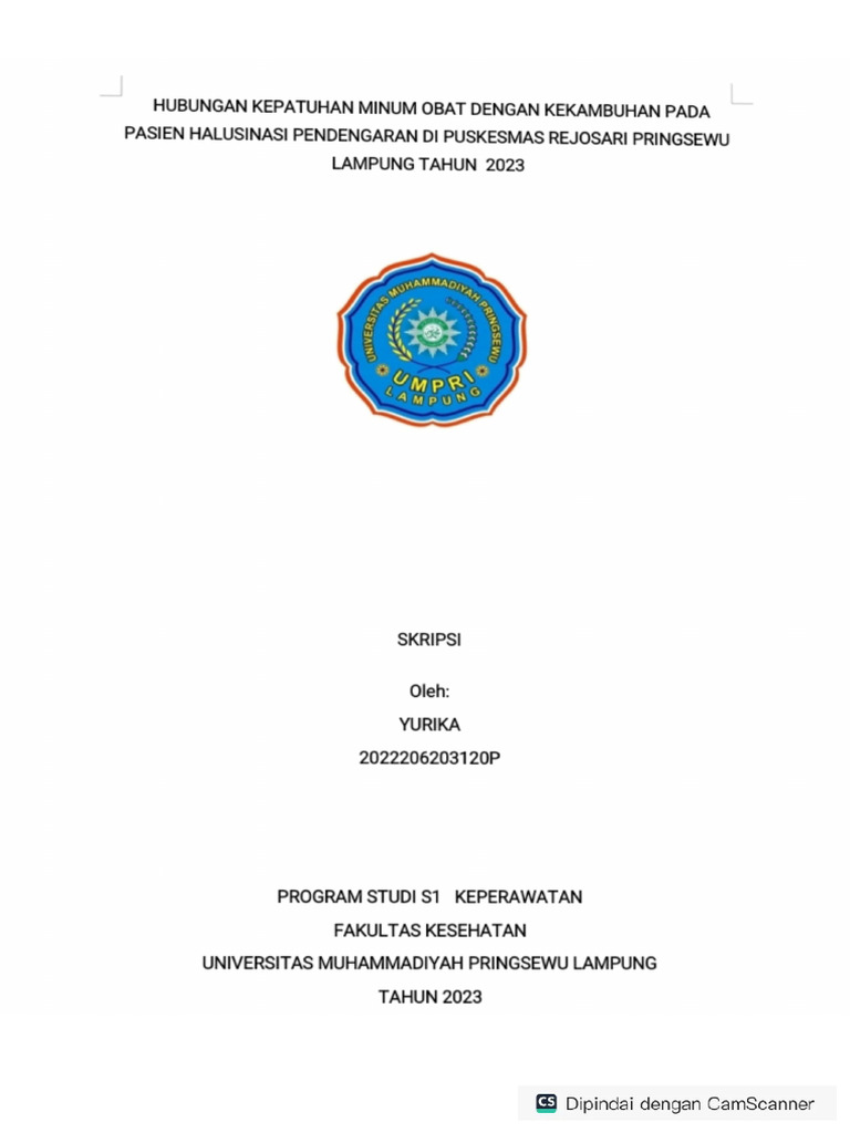 Full Paper Yurika | PDF