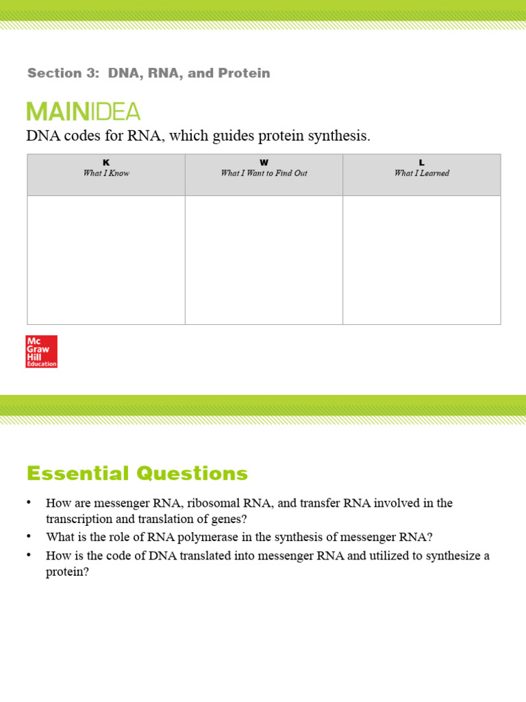 DNA_RNA_and_Protein | PDF | Rna | Messenger Rna