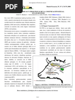 Reflejo de Flehmen en Animales | PDF | Biología