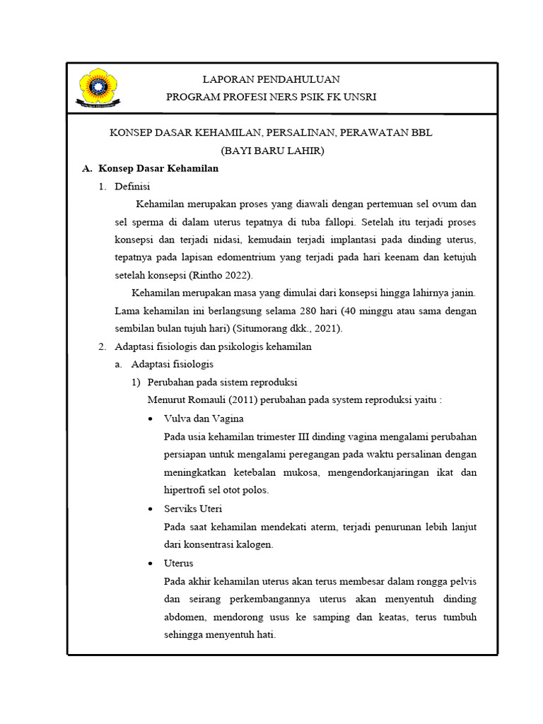 LP Persalinan Normal - Agnes Pais Lorenza | PDF