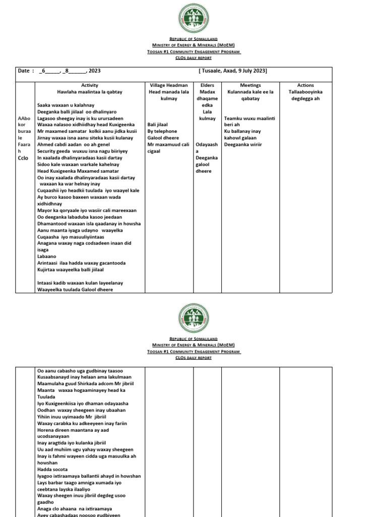 Daily Reporting Template | PDF | Horn Of Africa