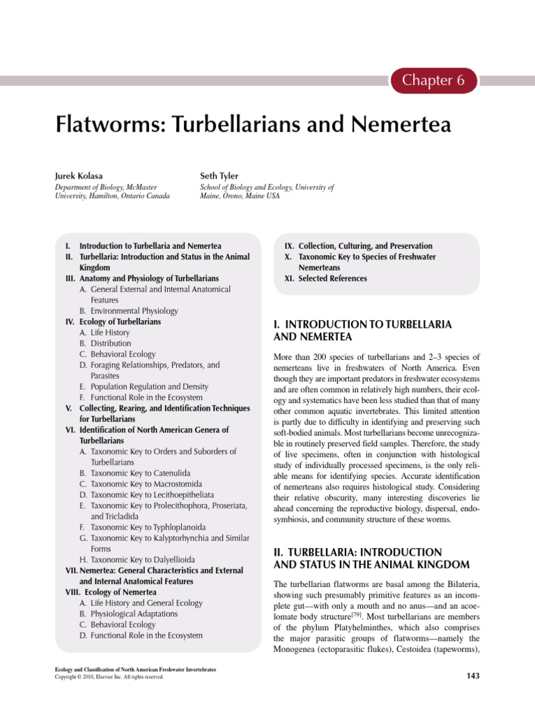 Chapter 6. Flatworms - Kolasa2010 | PDF | Reproduction | Epithelium