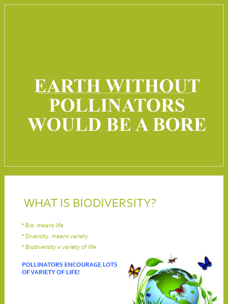 Pollinator Lesson PPT | PDF | Pollination | Biodiversity