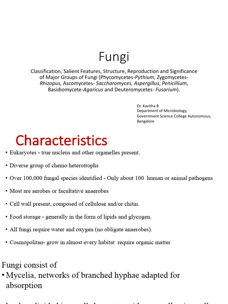 fungi_ II Sem | PDF | Fungus | Ploidy