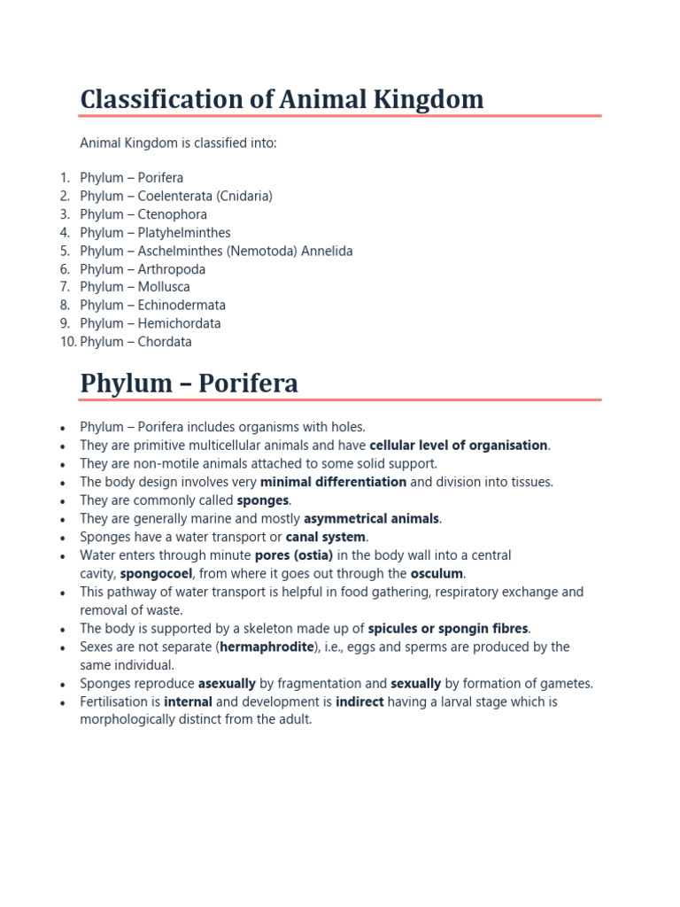Animal Kingdom Classification Overview | PDF | Vertebrates | Sponge