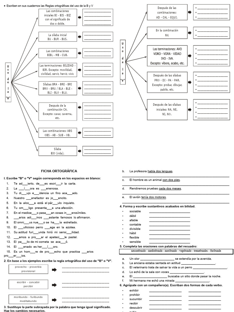 Ficha De La B Y V Pdf Gramática Tipología Lingüística