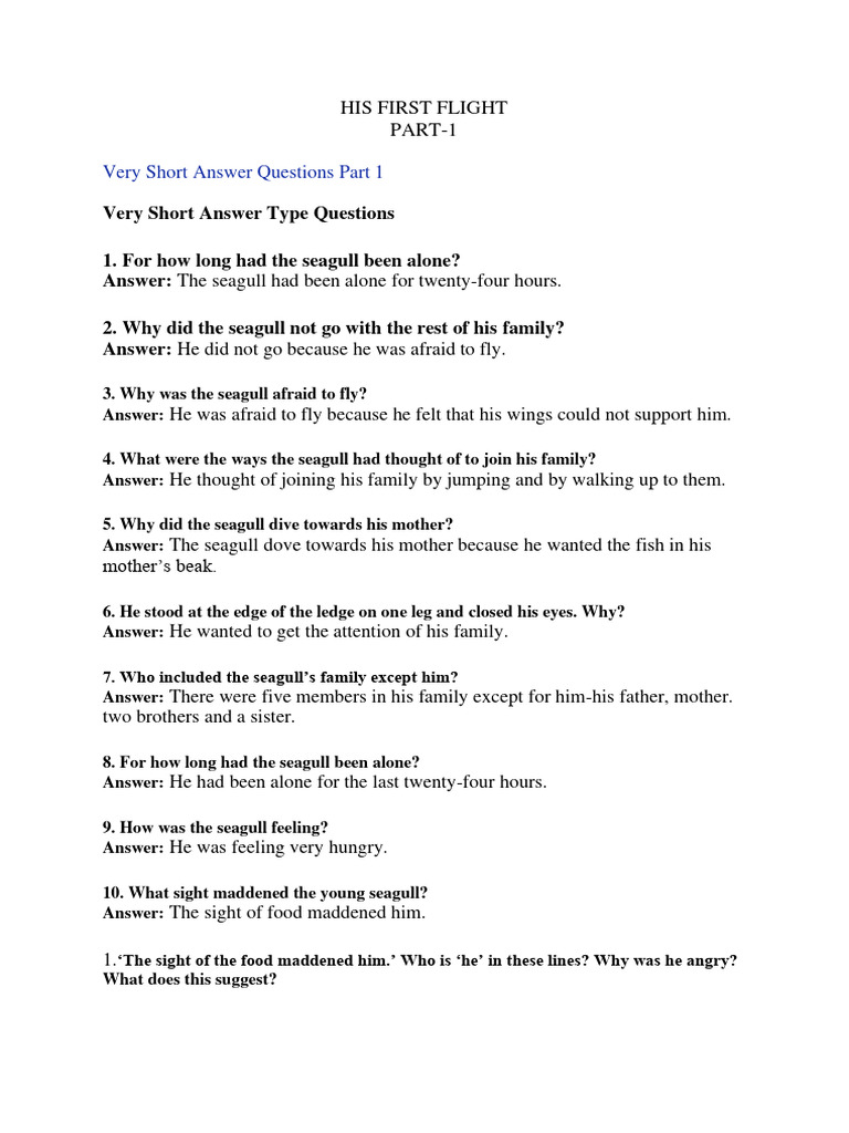 HIS FIRST FLIGHT | PDF | Airplane