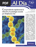 Triada de Cushing y su Fisiopatología | PDF | Hipertensión | Anatomía ...