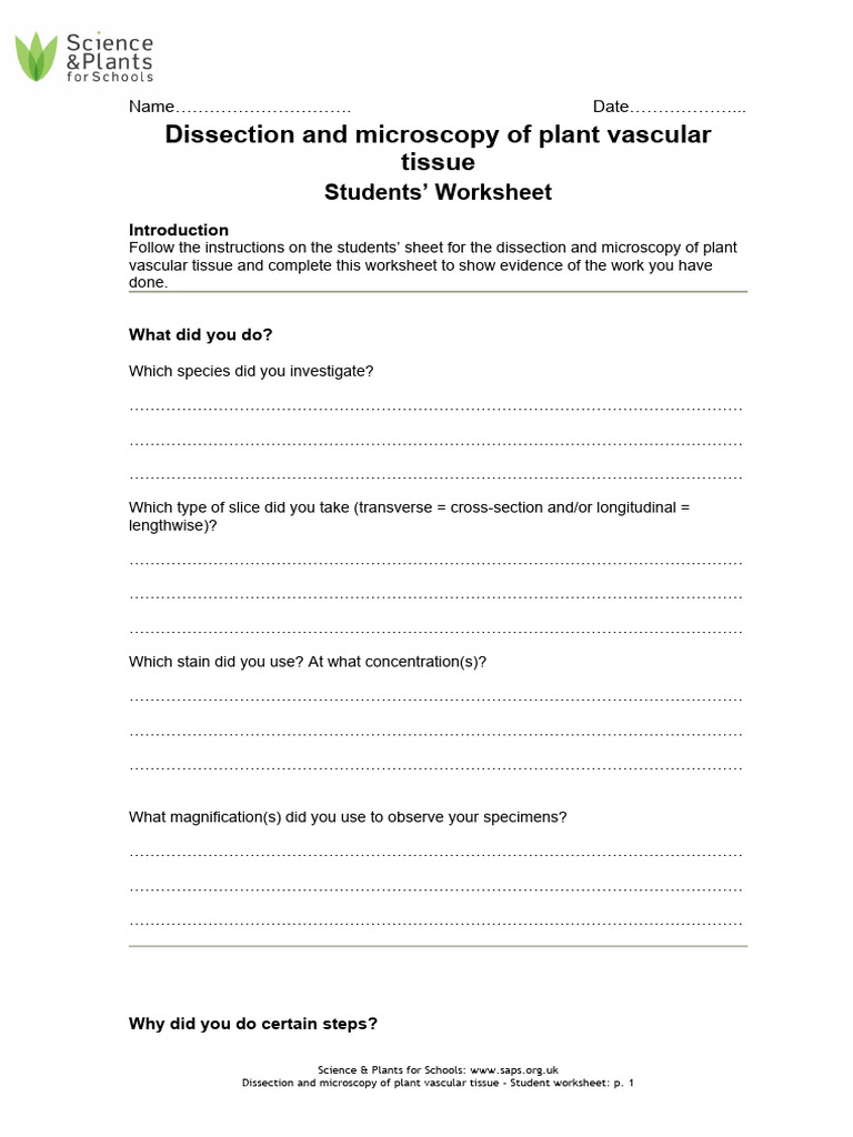 SAPS - Vascular Tissue Microscopy - Student Worksheet | Download Free ...
