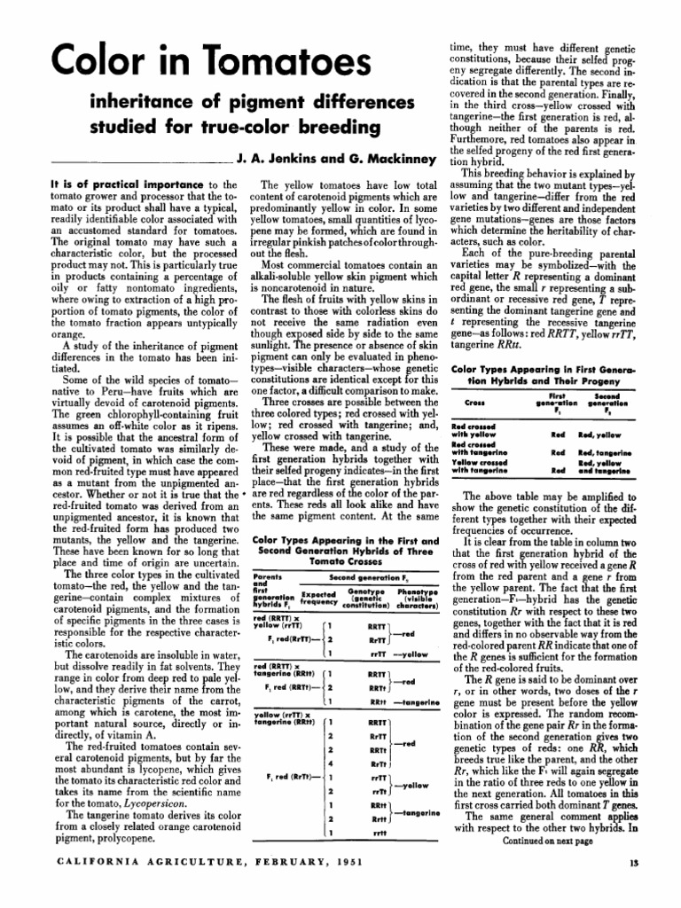 Ca502p13 176206 | PDF | Tomato | Dominance (Genetics)