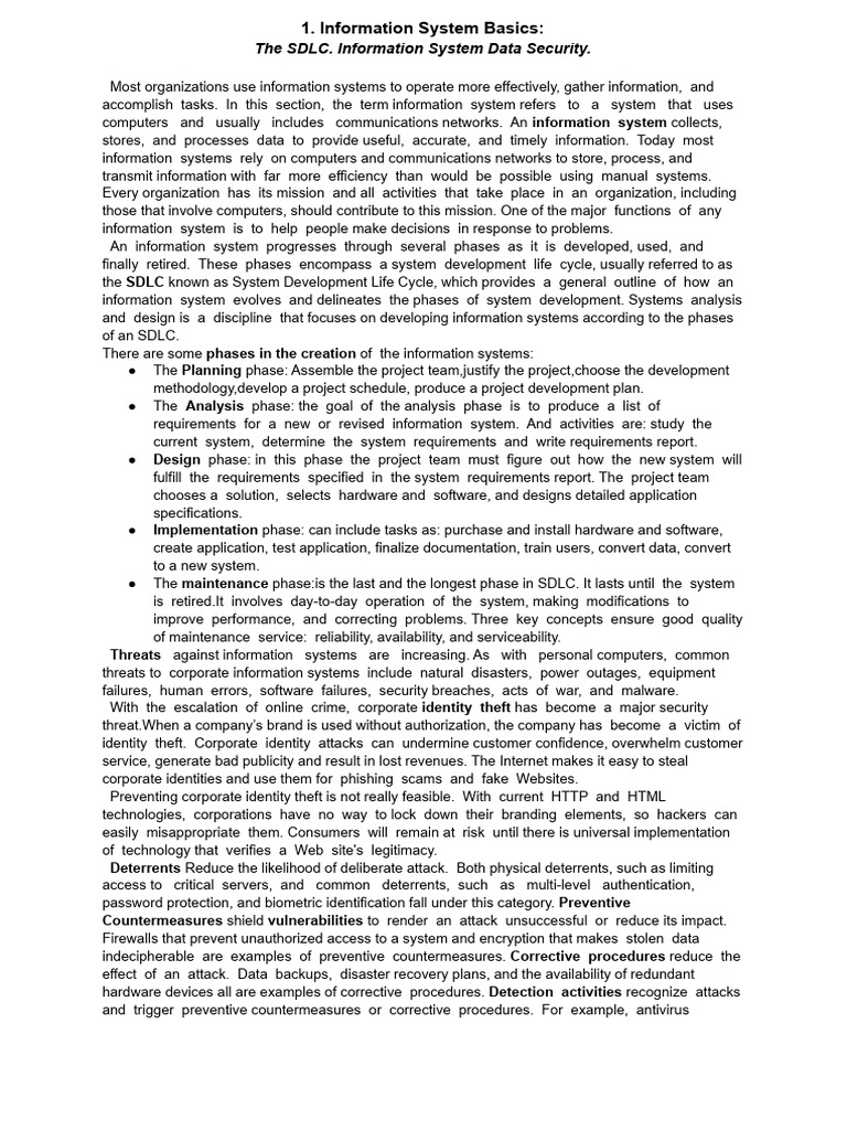 Information System Basics | PDF | Information System | Security