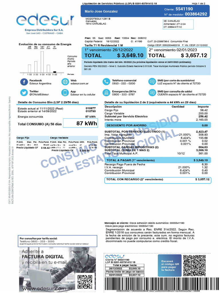 Detalle de Facturación de Energía Edesur | PDF | Tarjeta de débito ...