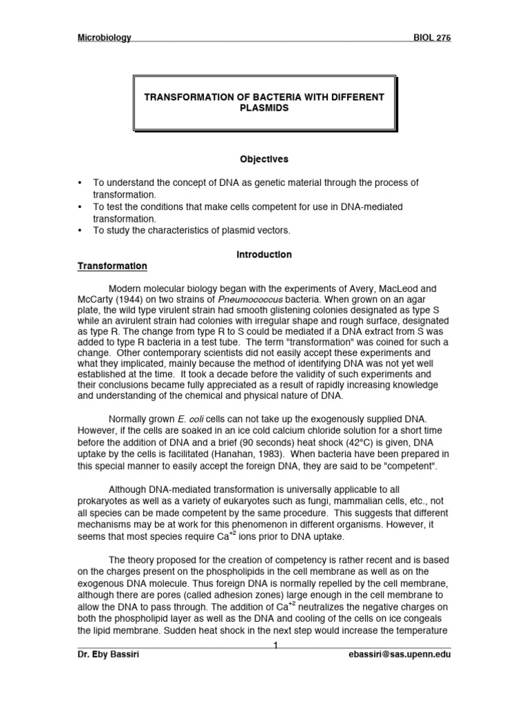 15 Transformation | PDF | Operon | Repressor