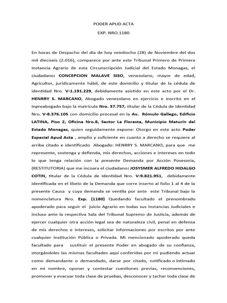 Modelo Apud Acta | PDF | Abogado | Demanda judicial