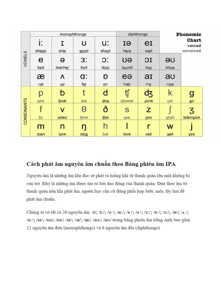 LÝ THUYẾT PHIÊN ÂM IPA | PDF