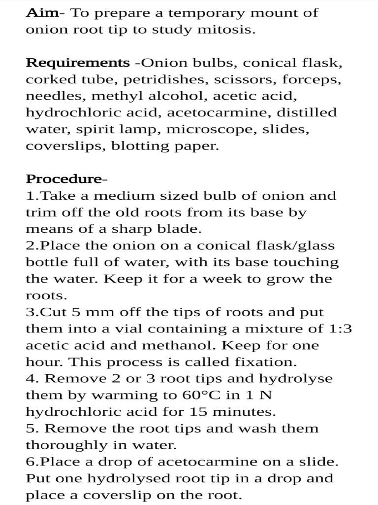 No3 Temporary Mount of Onion Root Tip | PDF | Chromosome | Cell Nucleus