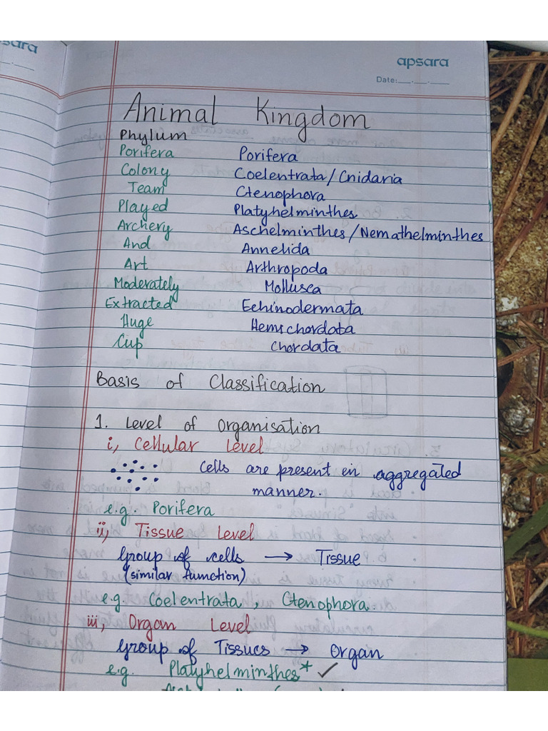 Animal Kingdom Short Notes | PDF