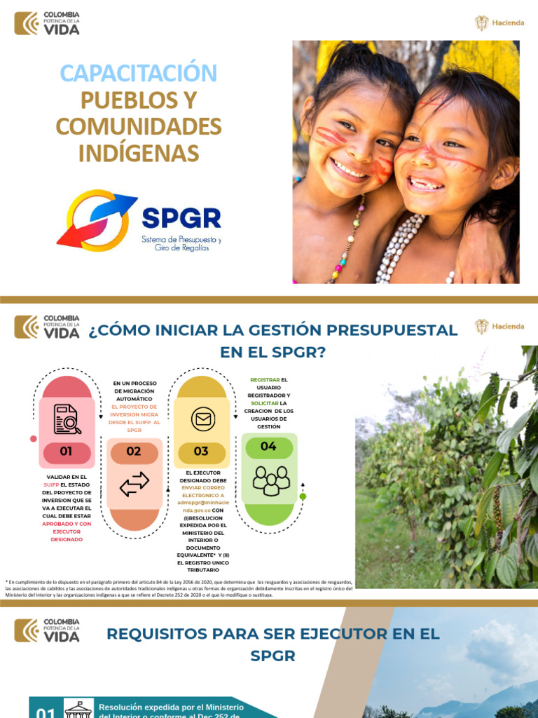Guía de Ejecución Presupuestal SPGR | PDF