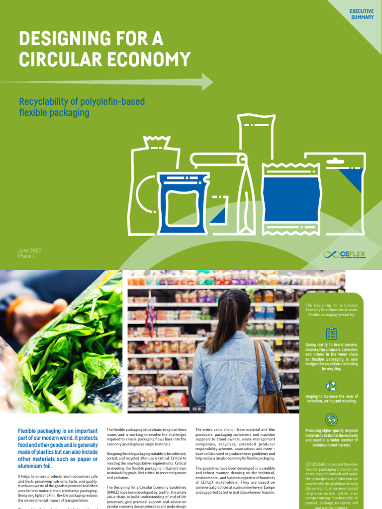 CEFLEX D4ACE Phase 1 Guidelines Executive Summary June 2020 | PDF ...