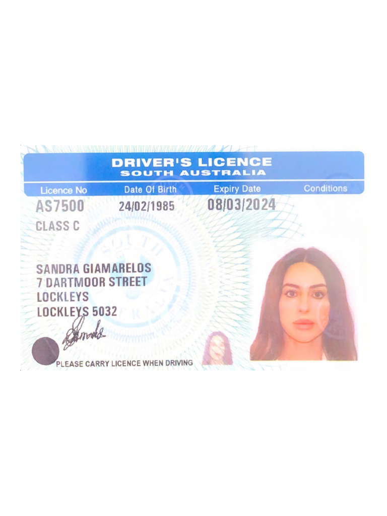Sandra Giamarelos Drivers Licence 64939b1d7daea | PDF