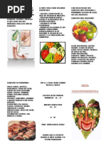 Dieta para Colecistitis y Colelitiasis | PDF | Vesícula biliar | Bilis