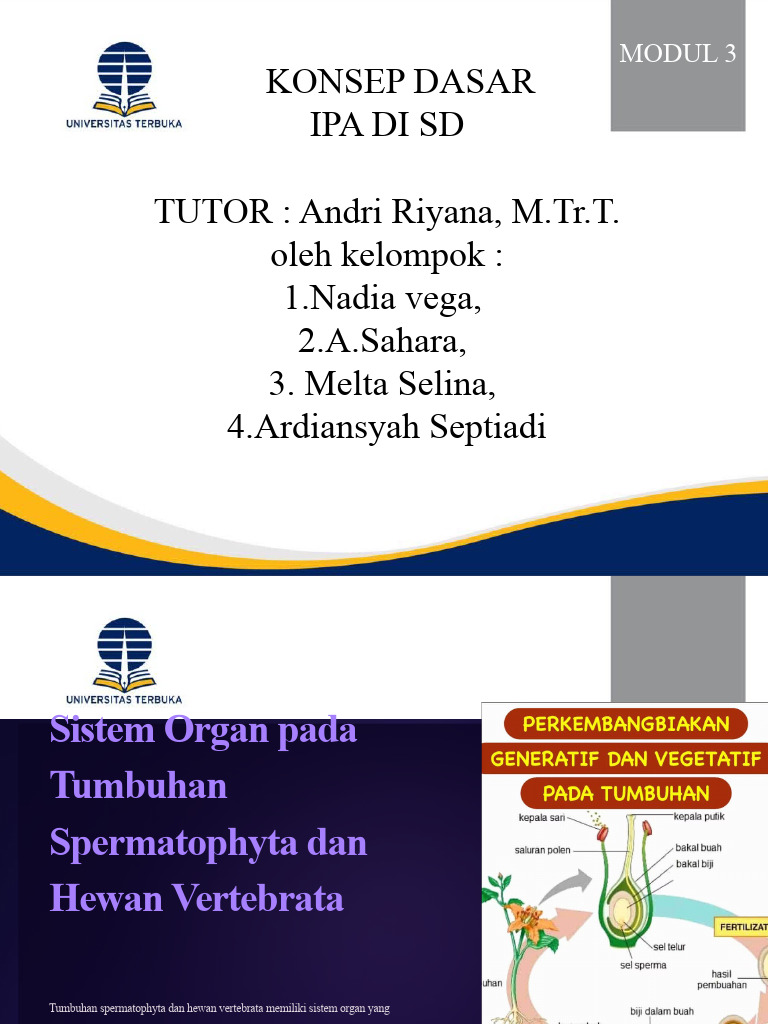 Modulk 3 Konsep Dasar Ipa | PDF