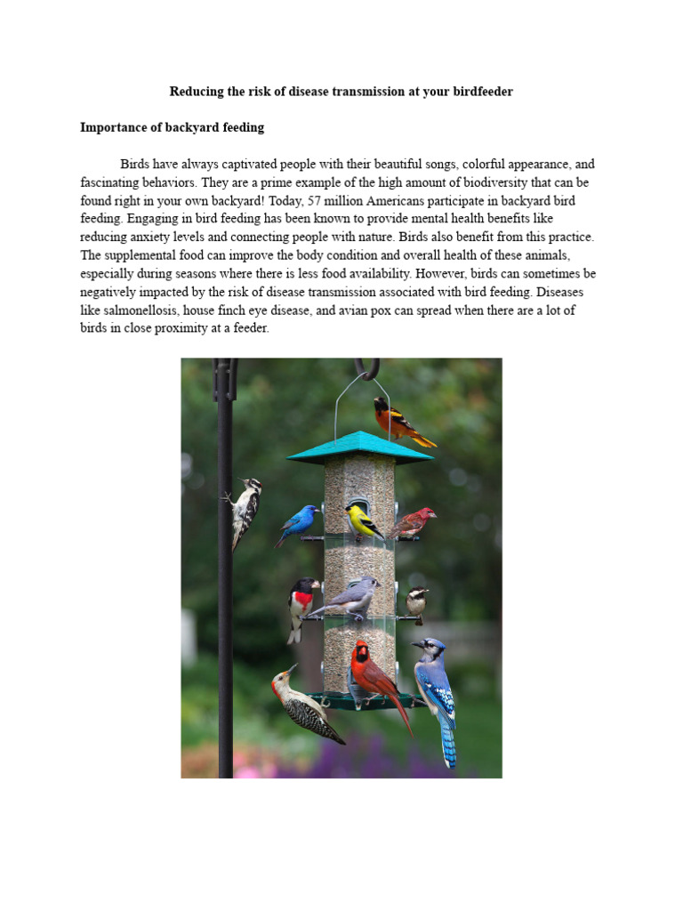 extension article assignment 3 | PDF