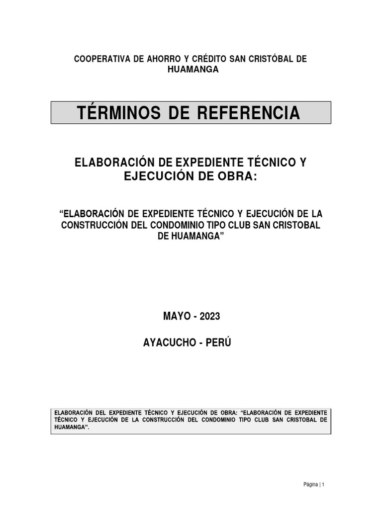 Tdr-Exp Tec - Obra | PDF