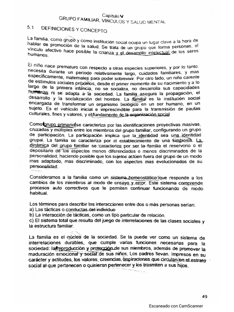 Capitulo V La Familia y Conceptos | PDF