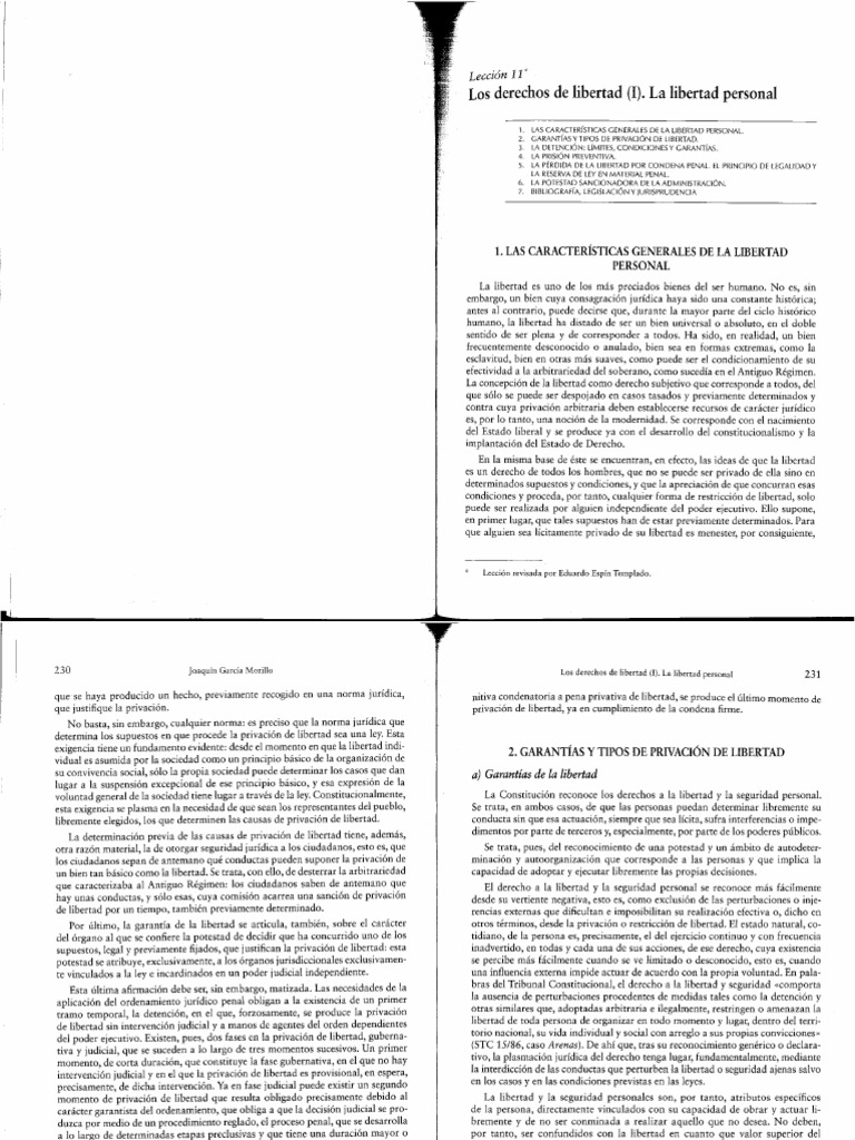 Tema 6 L Guerra Dcho Lib Personal | PDF