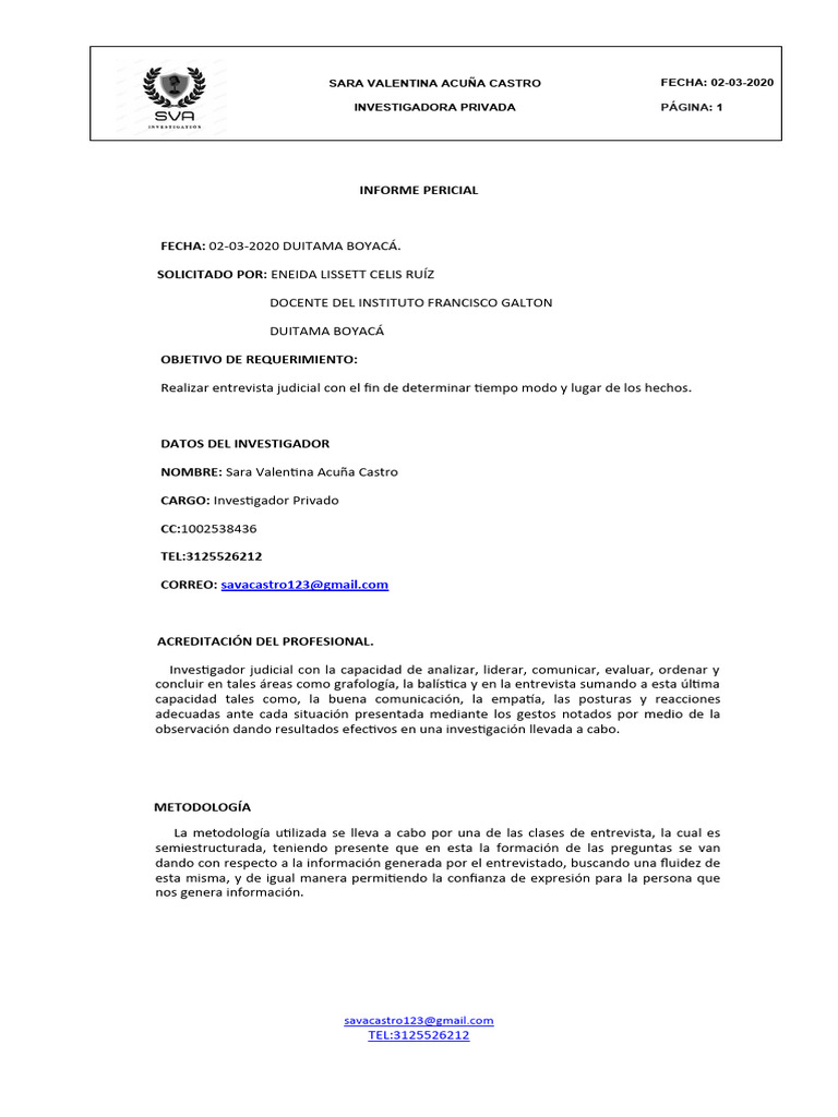 Sara Formato Privado y Con | PDF