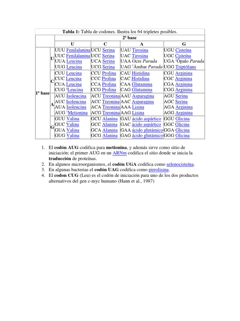 Tabla de Codones | PDF | Serina | Codigo genetico